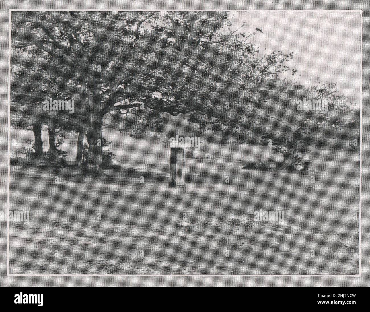 Rufus Stone, New Forest. Hampshire (1913 Stock Photo - Alamy