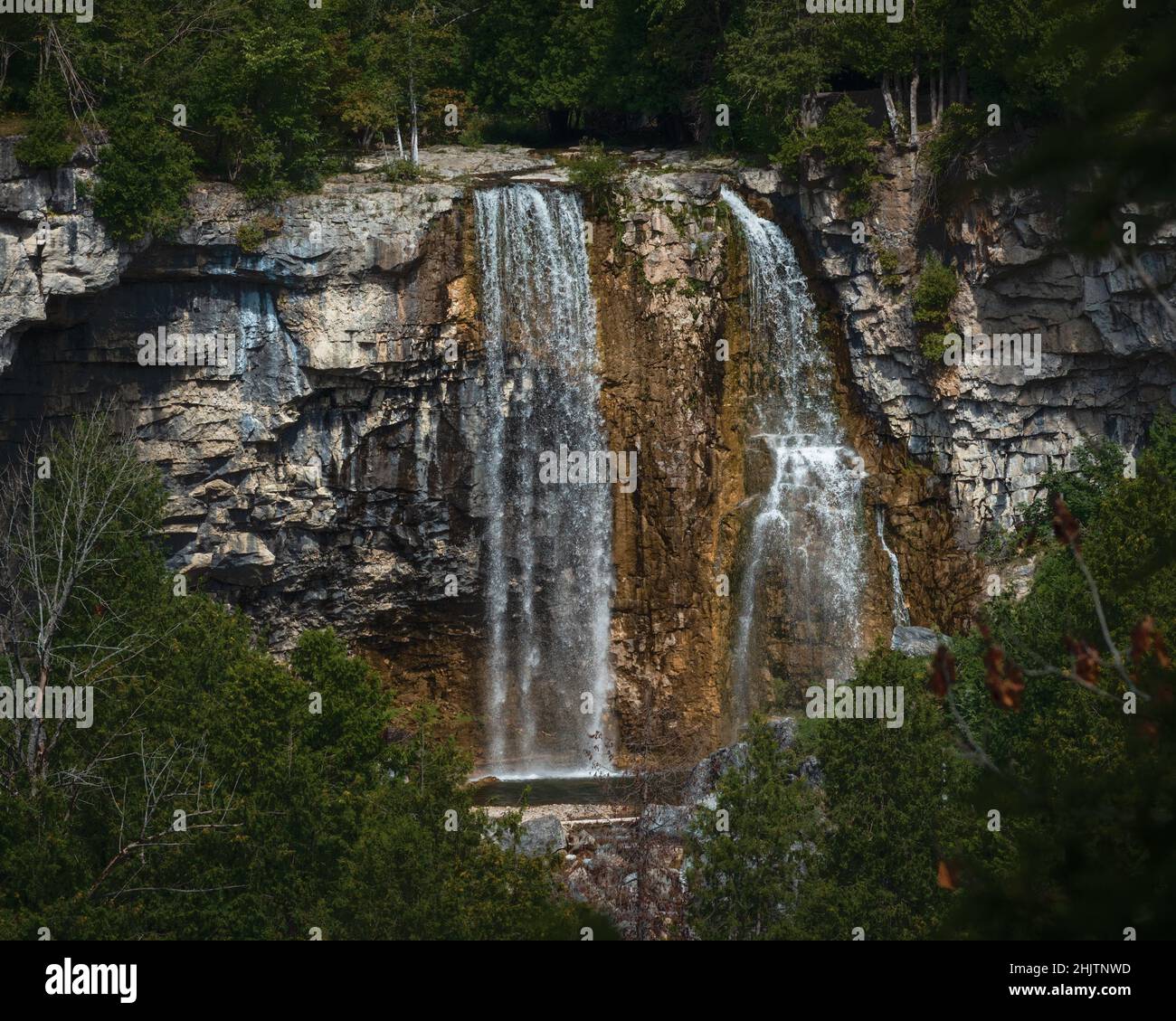 Eugenia Falls in a forest covered in greenery in the daylight in ...
