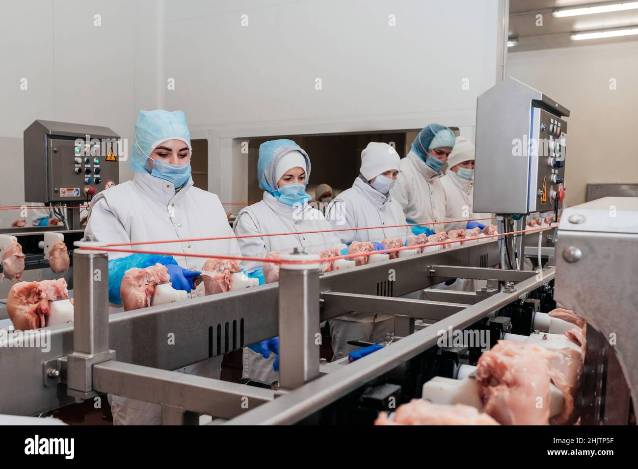 Chicken fillet production line . Factory for the production of food ...