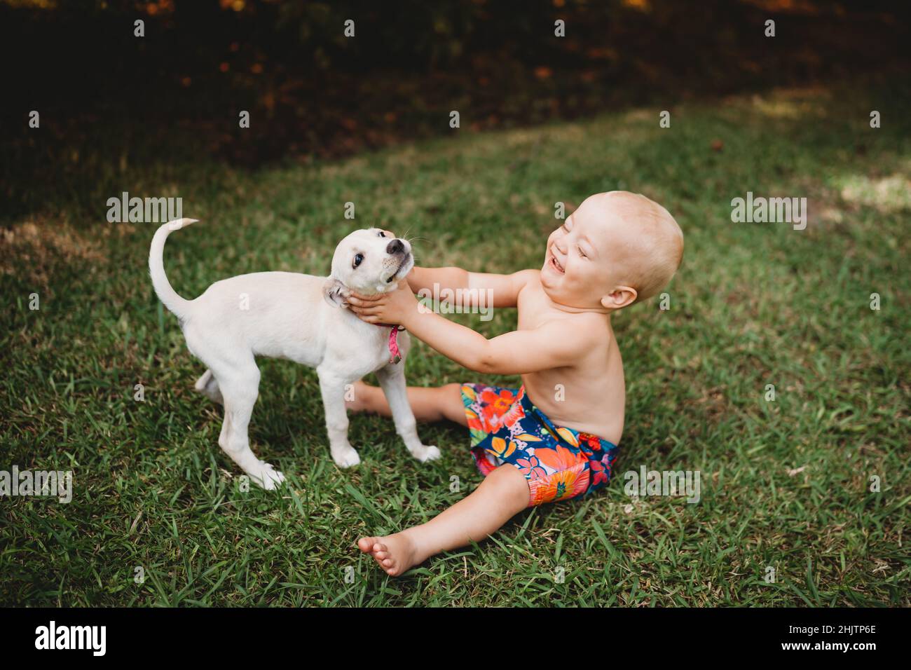 Happy baby laughing with a beautiful puppy outside in summer Stock ...