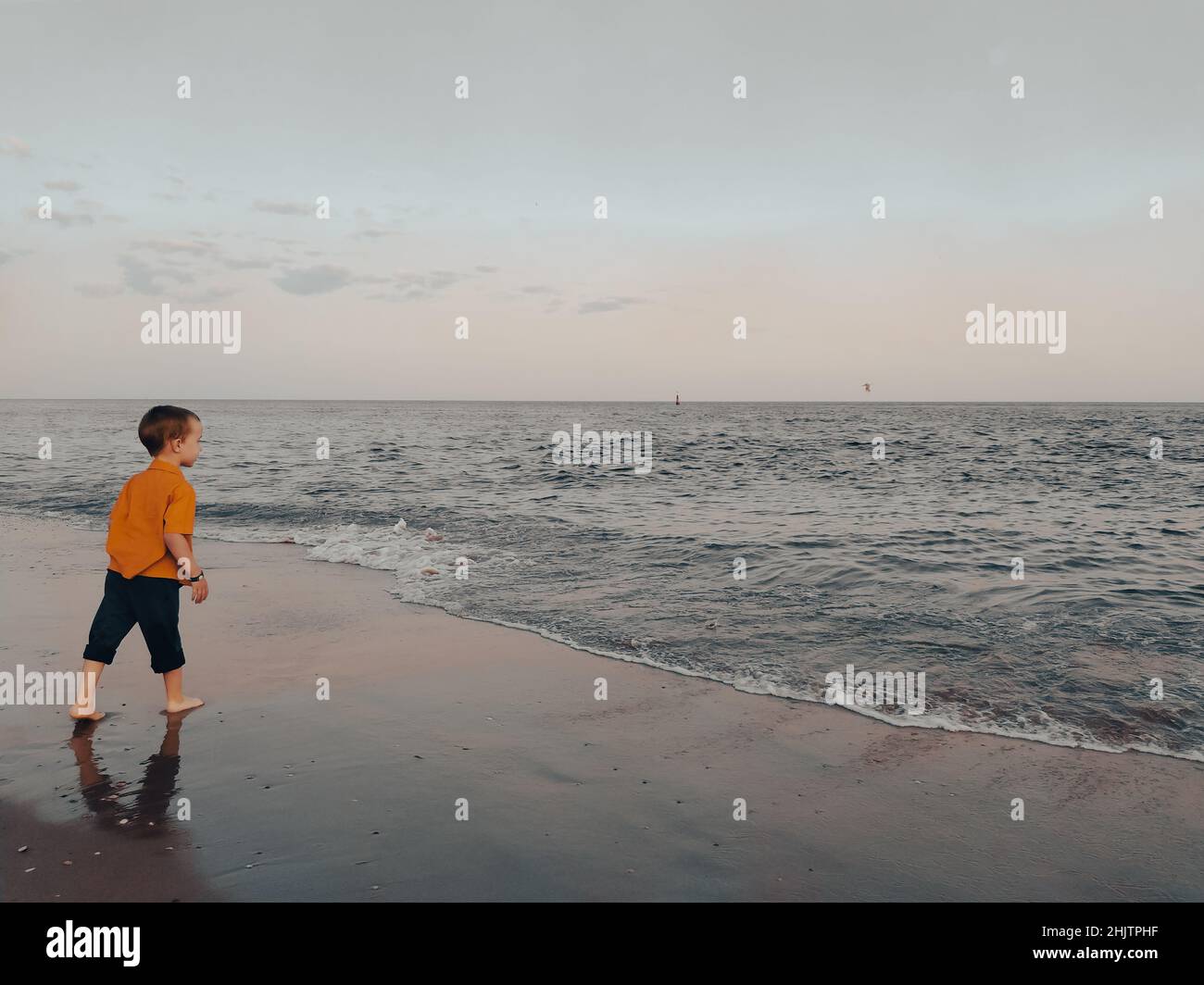 Little boy looks at the sea on the beach Stock Photo - Alamy