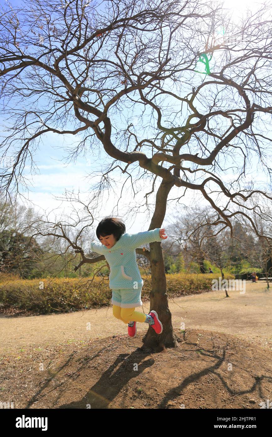 Jumping tree hi-res stock photography and images - Alamy