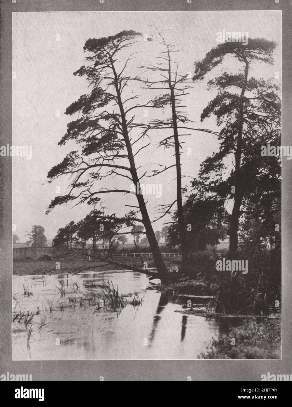 On the River Coln near Aldenham. Hertfordshire (1913 Stock Photo - Alamy