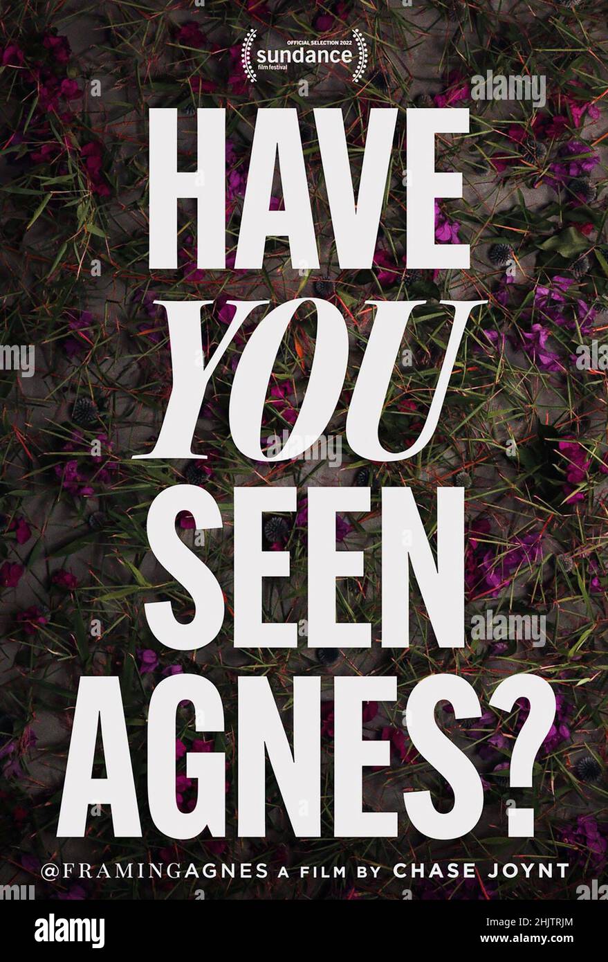 FRAMING AGNES, poster, 2022. © Fae Pictures / Courtesy Everett ...