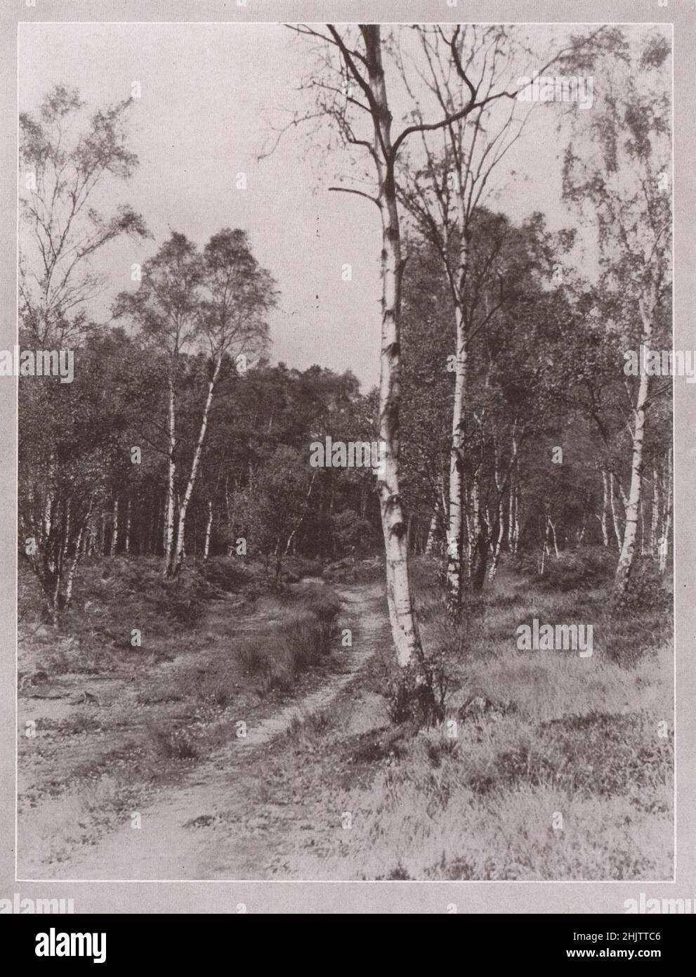 Chislehurst common hi-res stock photography and images - Alamy