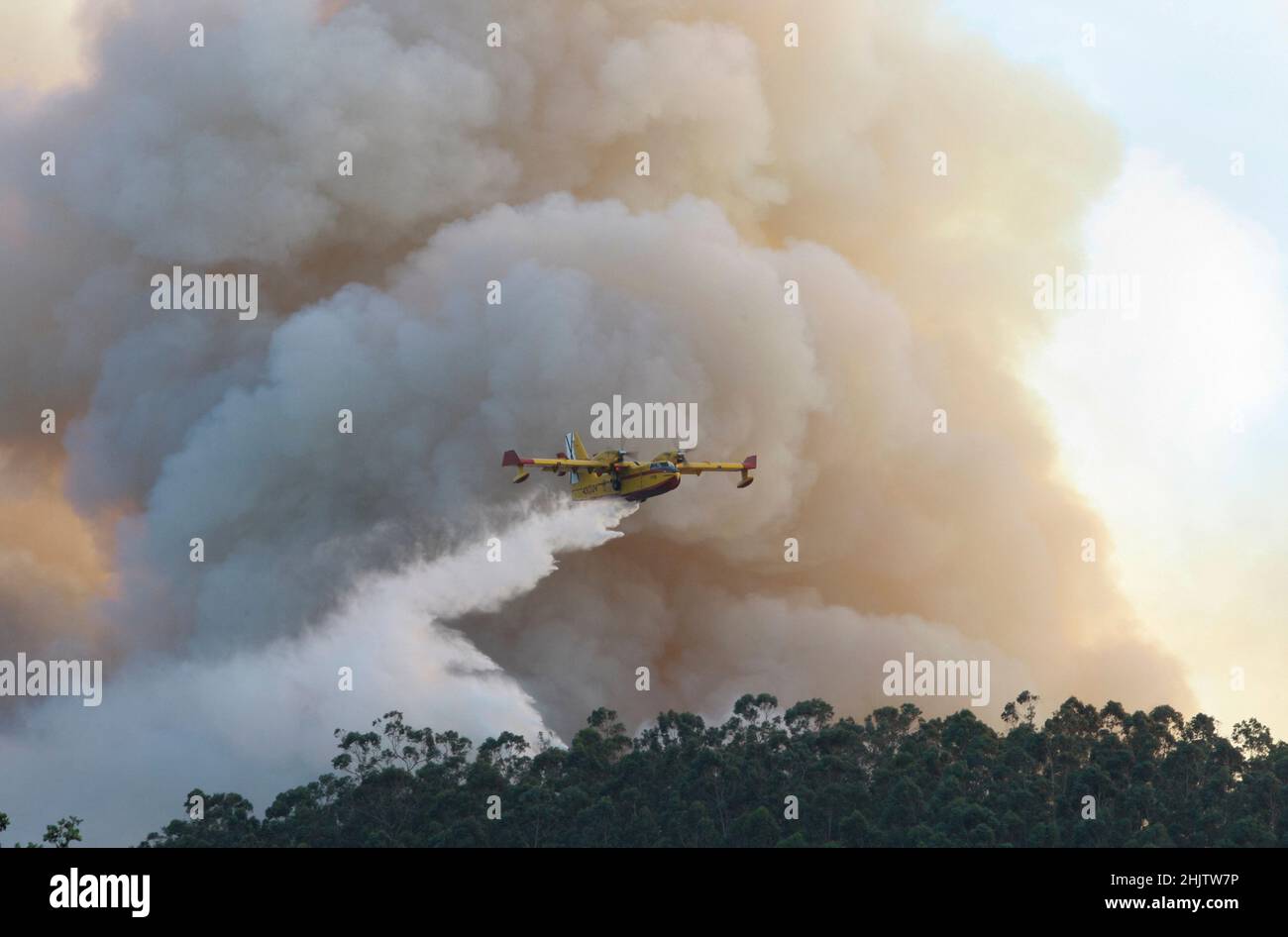 A Canadair CL-215 firefighting plane in the clouds of a forest fire ...