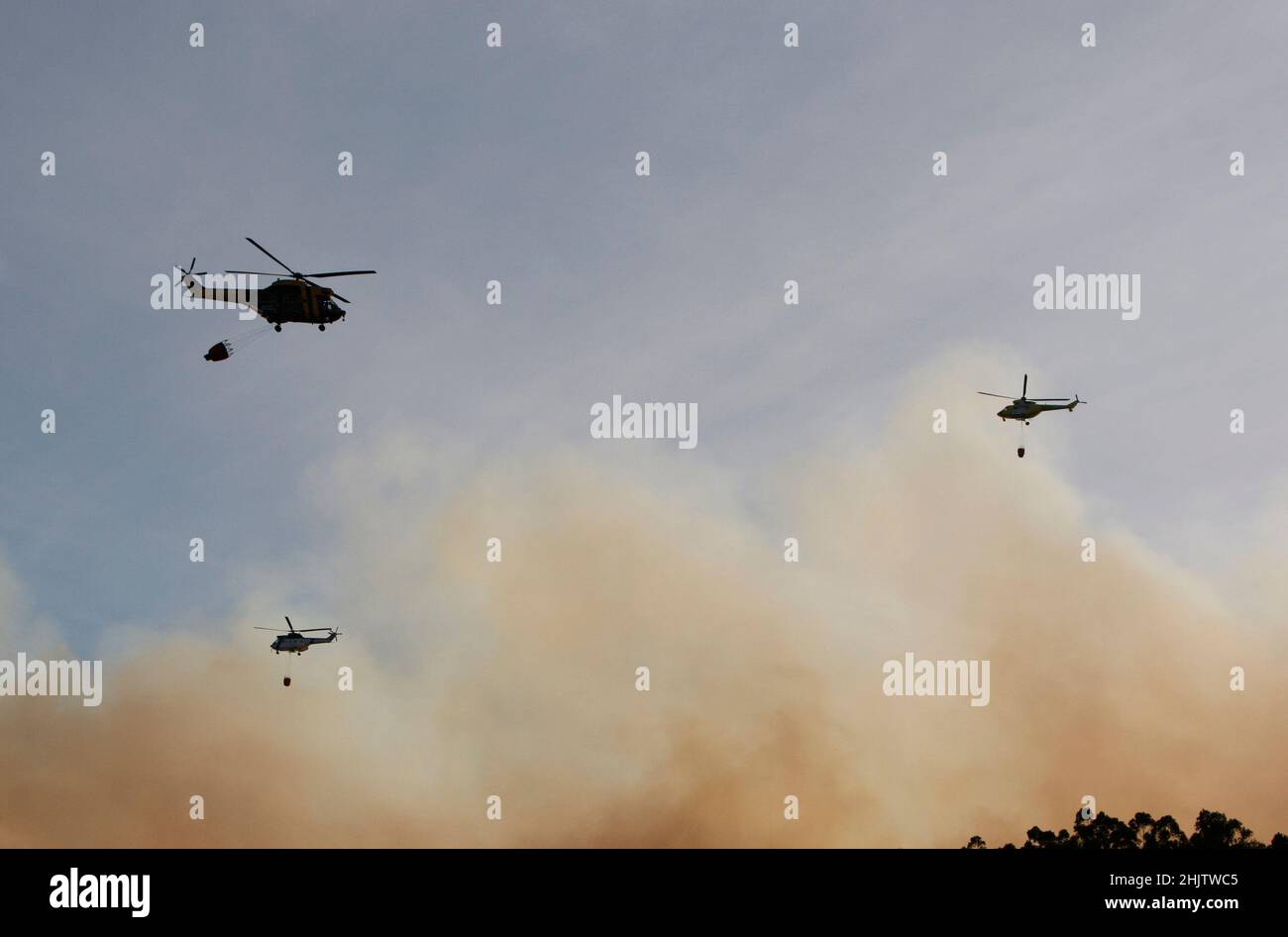 The silhouette of three firefighting helicopters flying during a forest ...