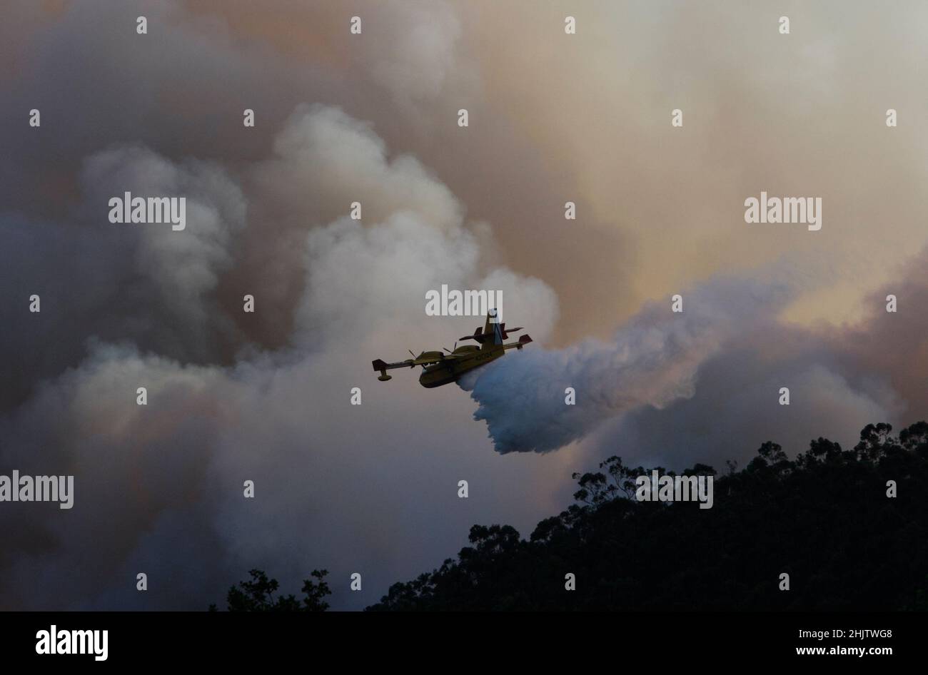 A Canadair CL-215 firefighting plane in the clouds of a forest fire ...