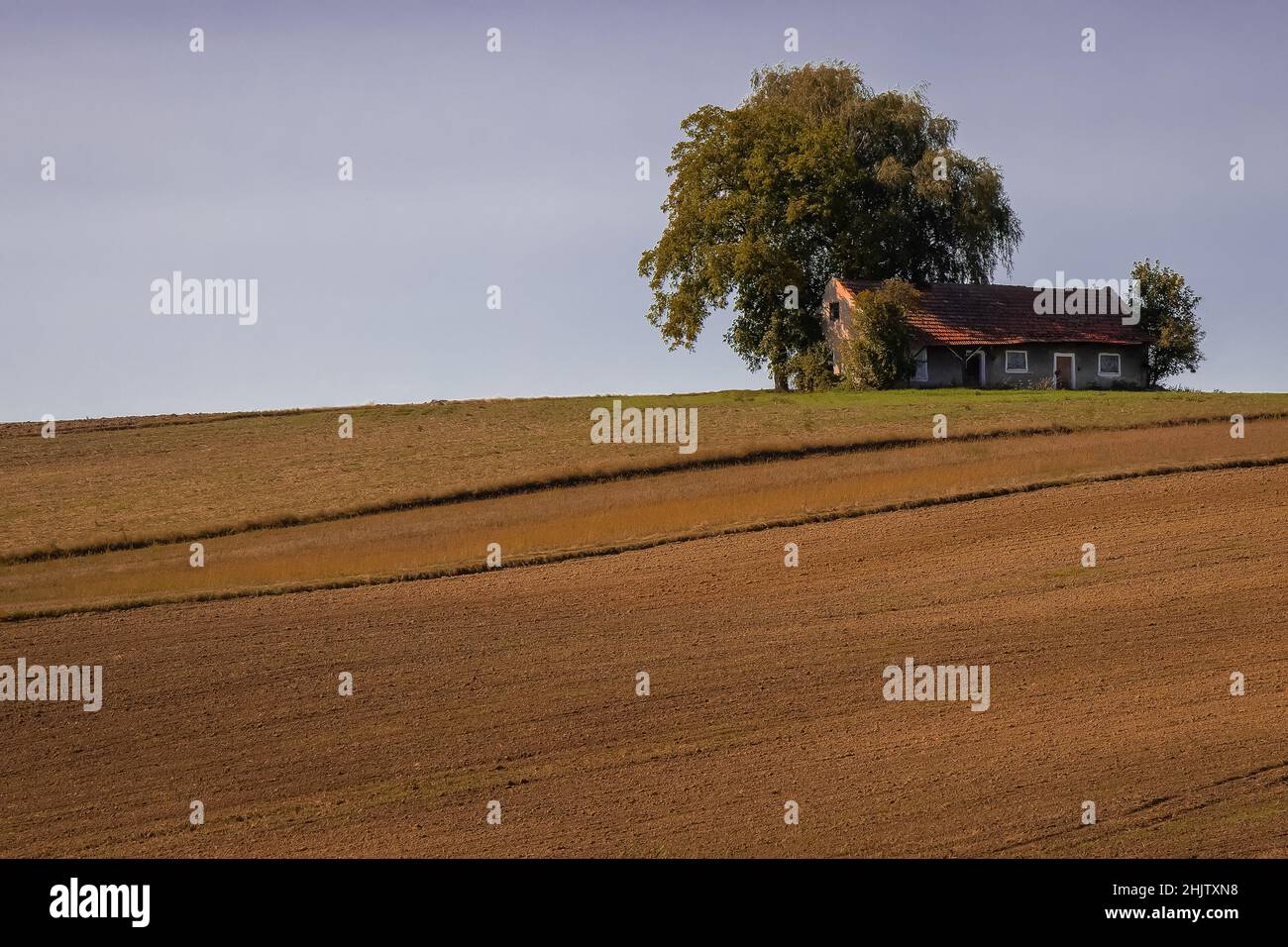 View of a lonely small house under a tree built on a hill Stock Photo ...