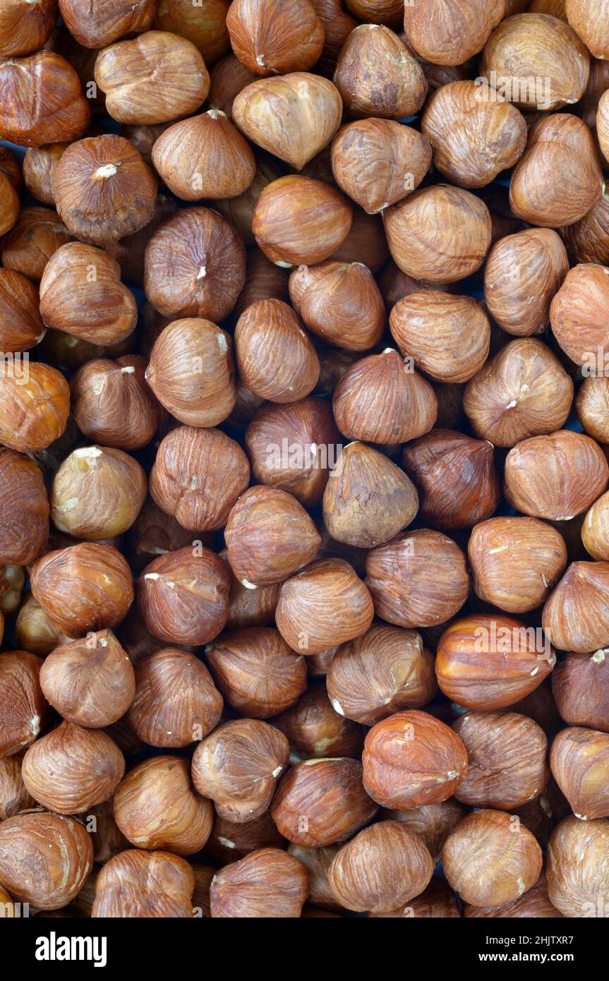 Cobnut hi-res stock photography and images - Alamy