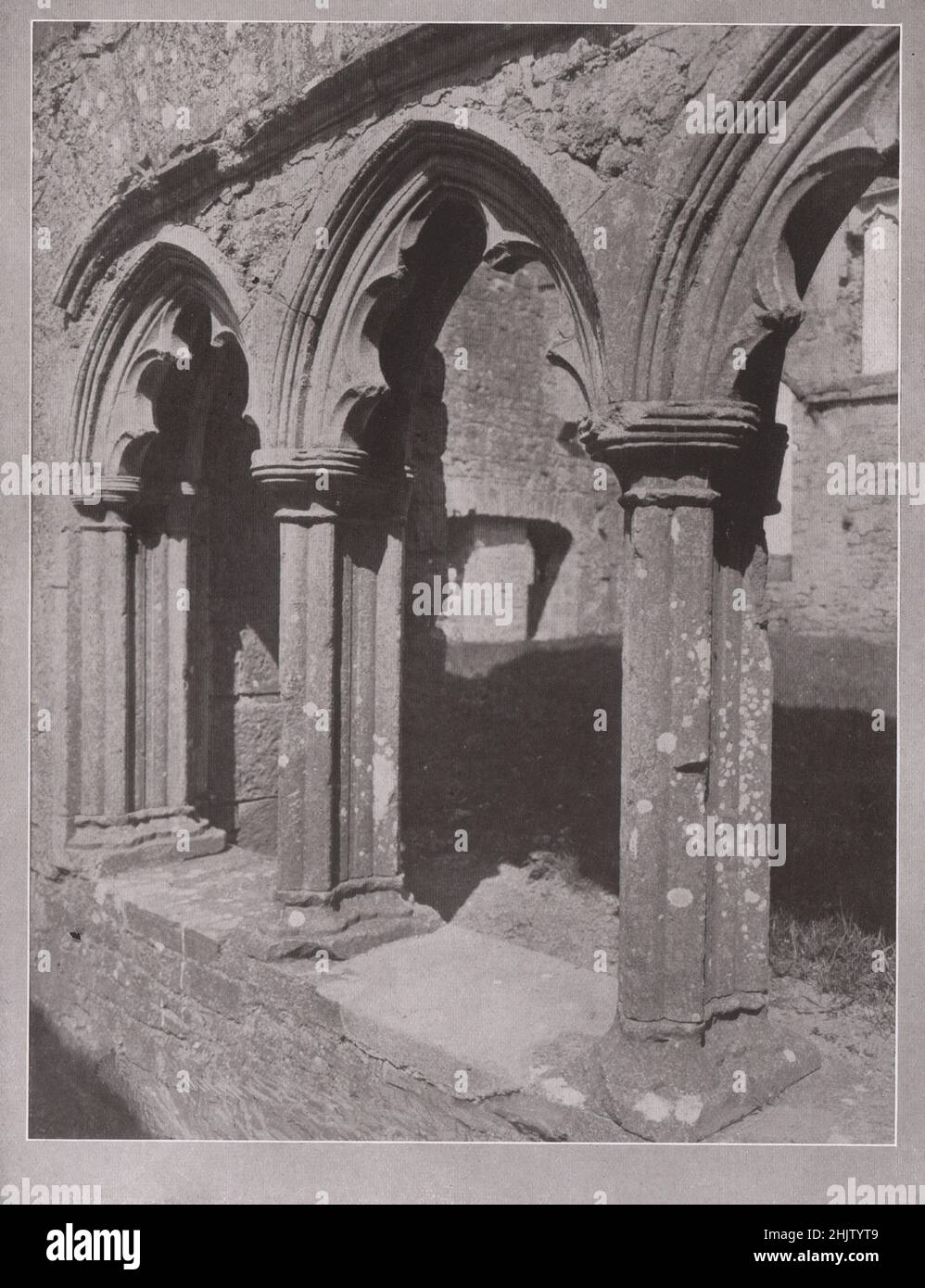 The Cloisters, Bective Abbey. County Meath (1913 Stock Photo - Alamy
