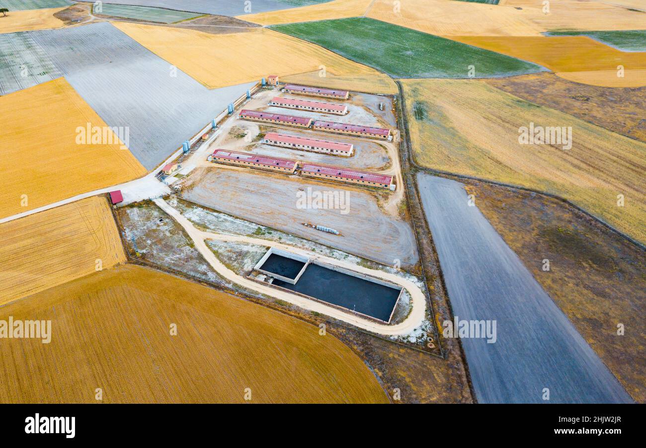 Pig farm in central Spain Stock Photo - Alamy