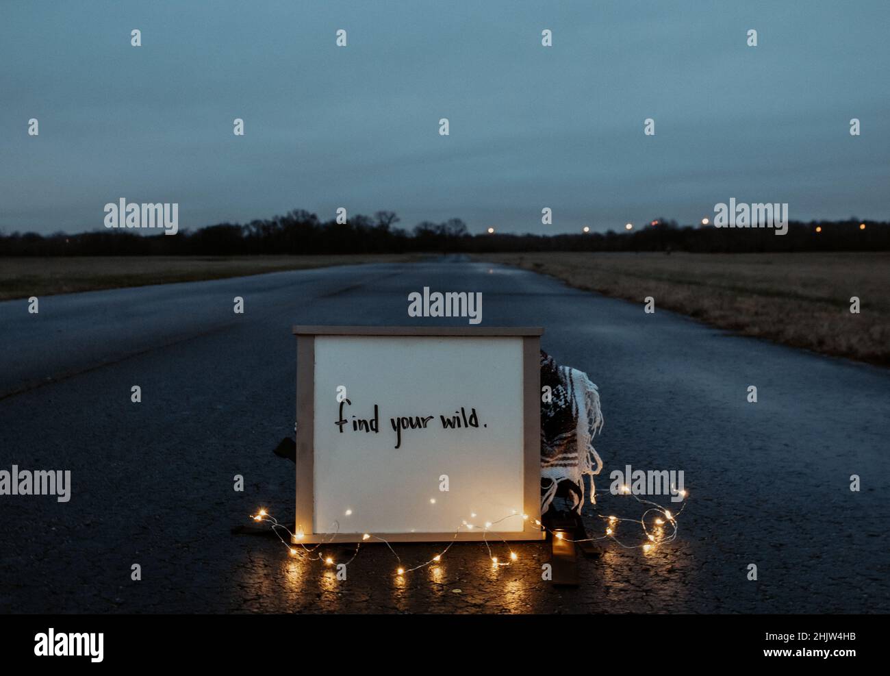 Luminous sign in the center of the road with caption "find your wild ...
