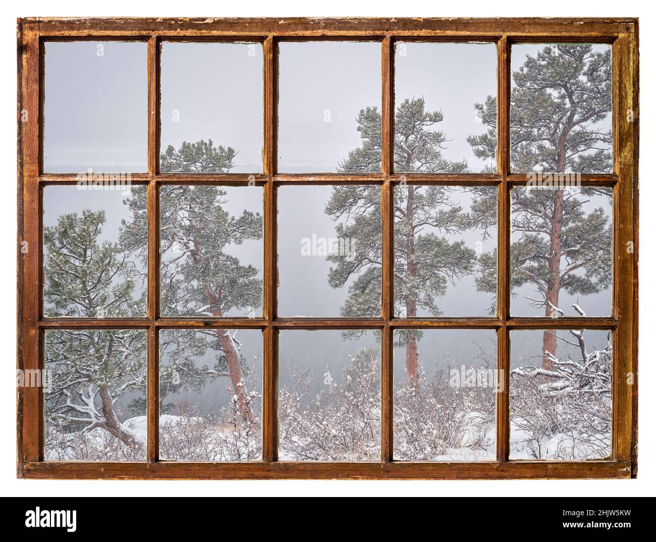 pine trees at a shore of lake in Colorado foothills in heavy winter ...
