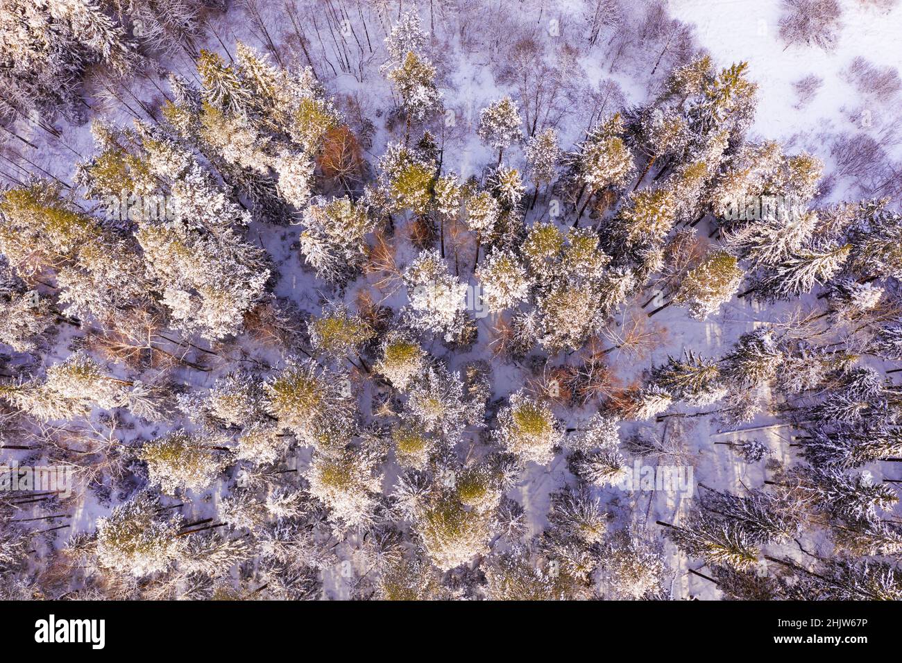 Aerial view of woodlands in winter day Stock Photo - Alamy
