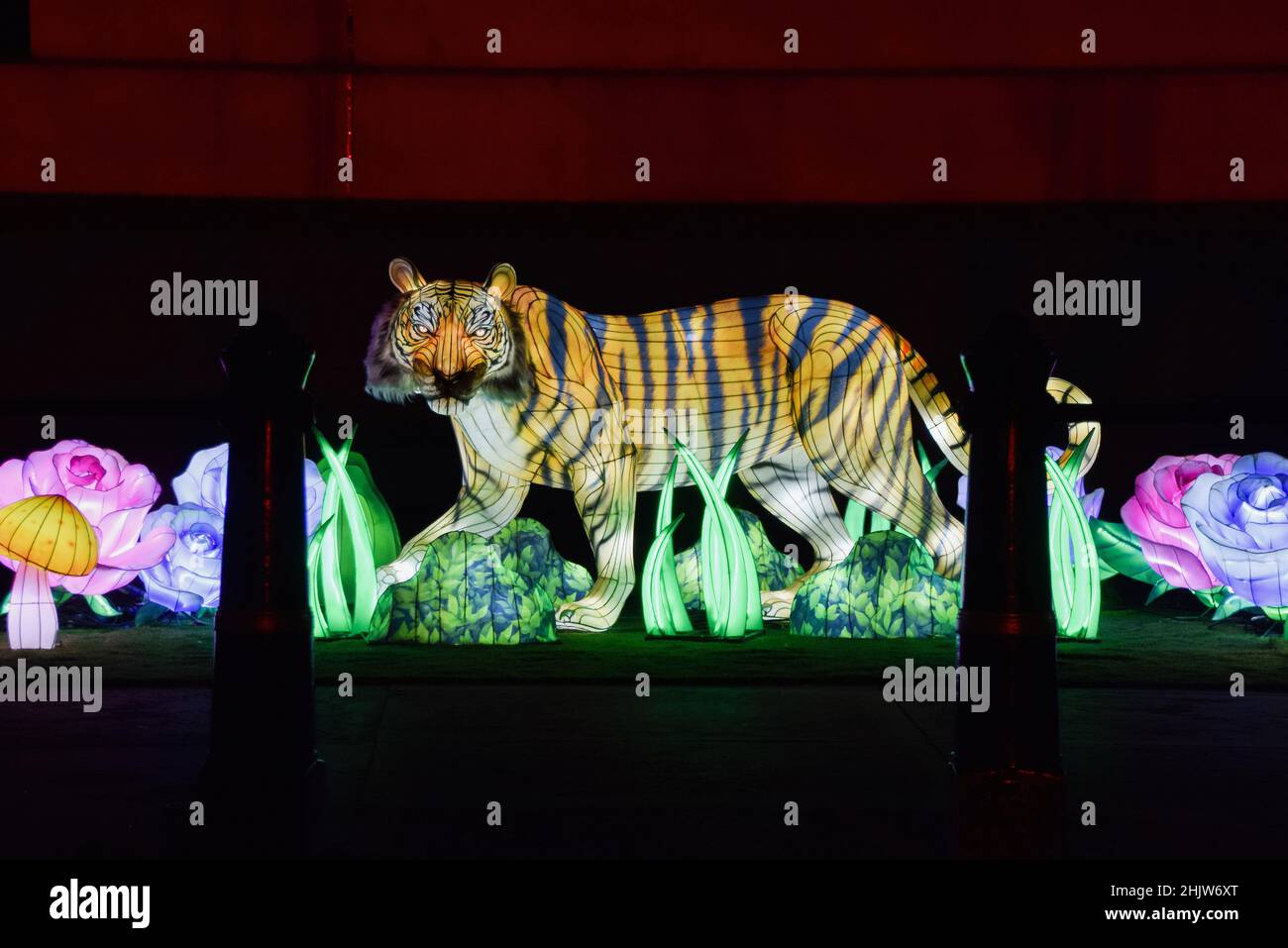 An illuminated tiger lantern is seen in Trafalgar Square in celebration ...