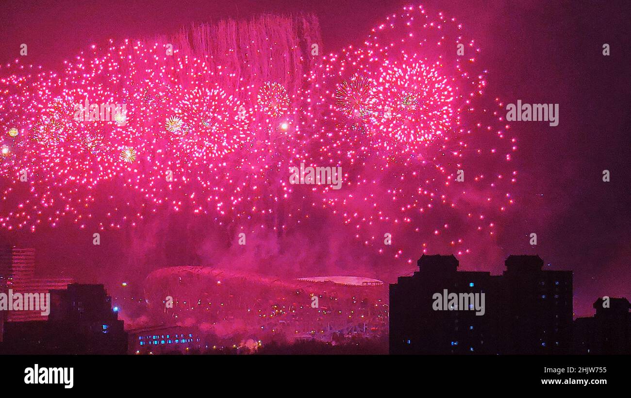 Beautiful shot of exploding pink fireworks in the sky Stock Photo - Alamy