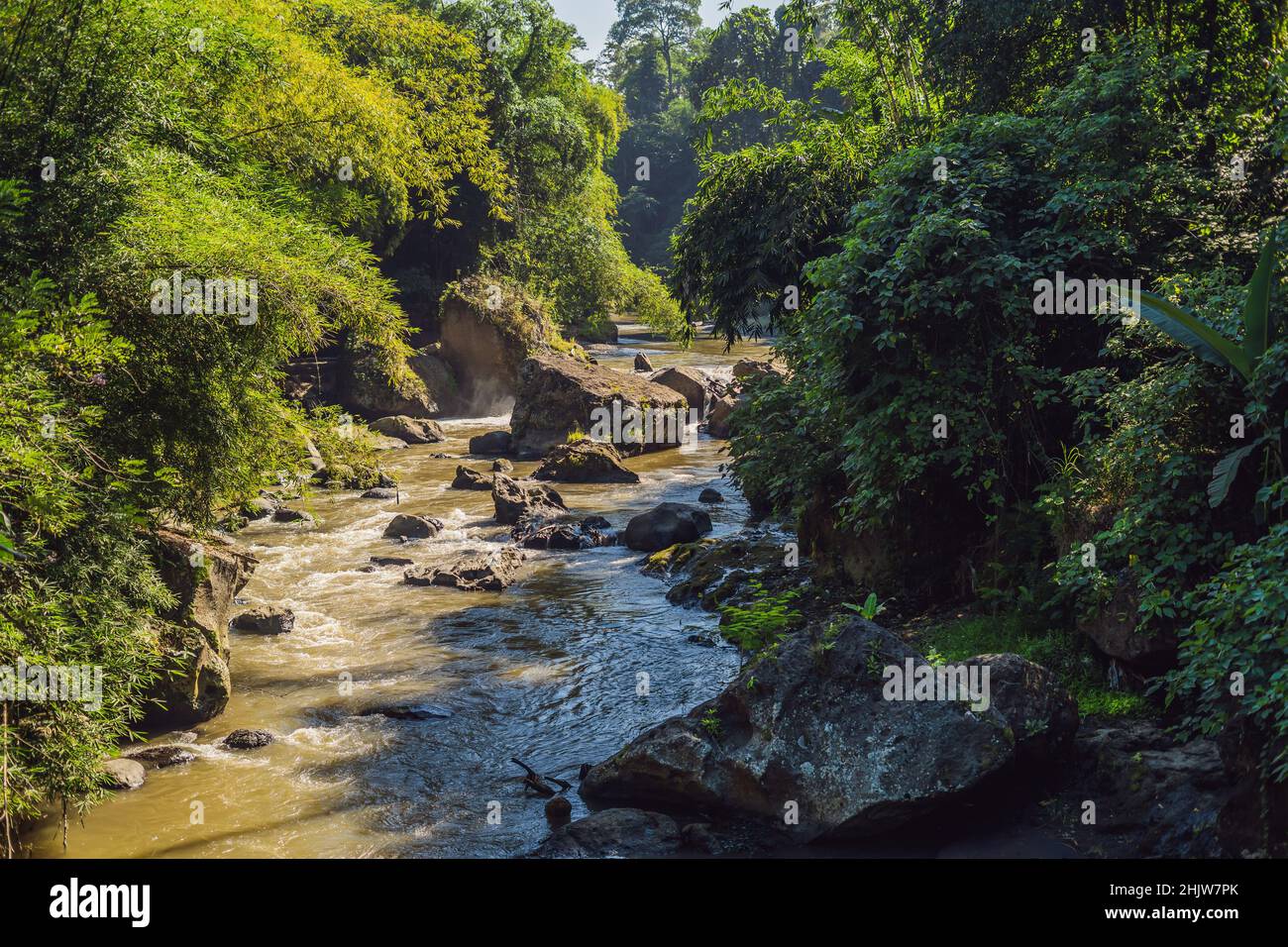 Beautiful river in the jungle, Bali Stock Photo - Alamy
