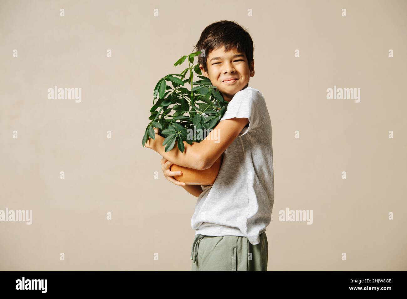 Grimacing indian boy holding a potted plant in his arms, hugging it ...