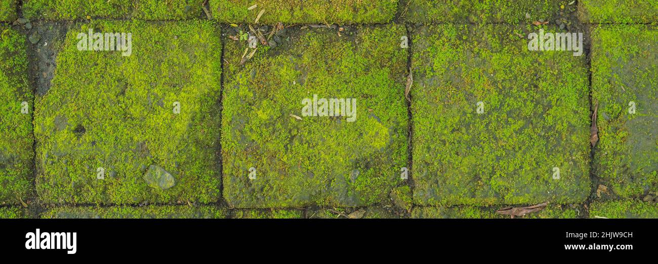 Flexible format hi-res stock photography and images - Alamy