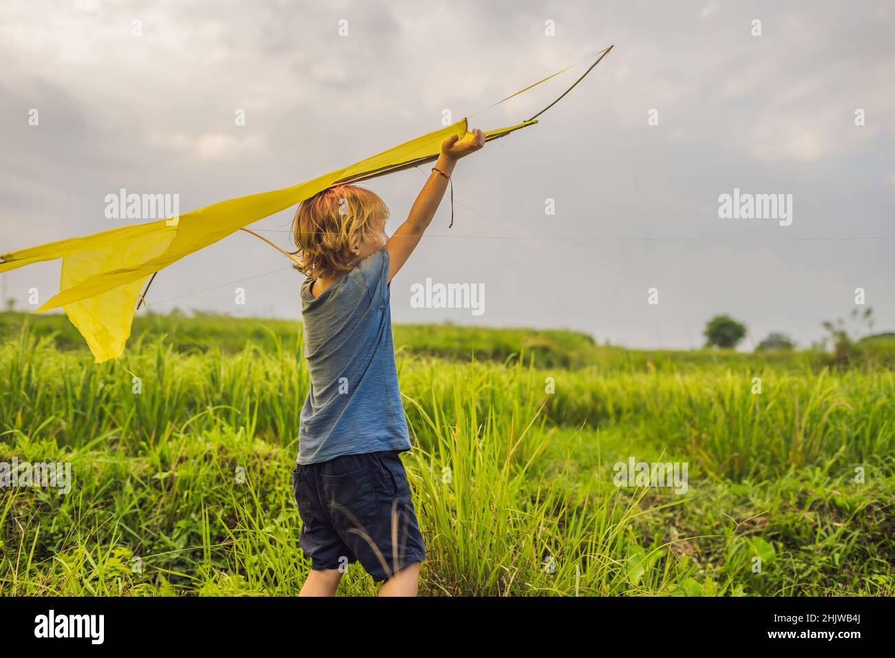 Boy launch a kite in a rice field in Ubud, Bali Island, Indonesia Stock ...