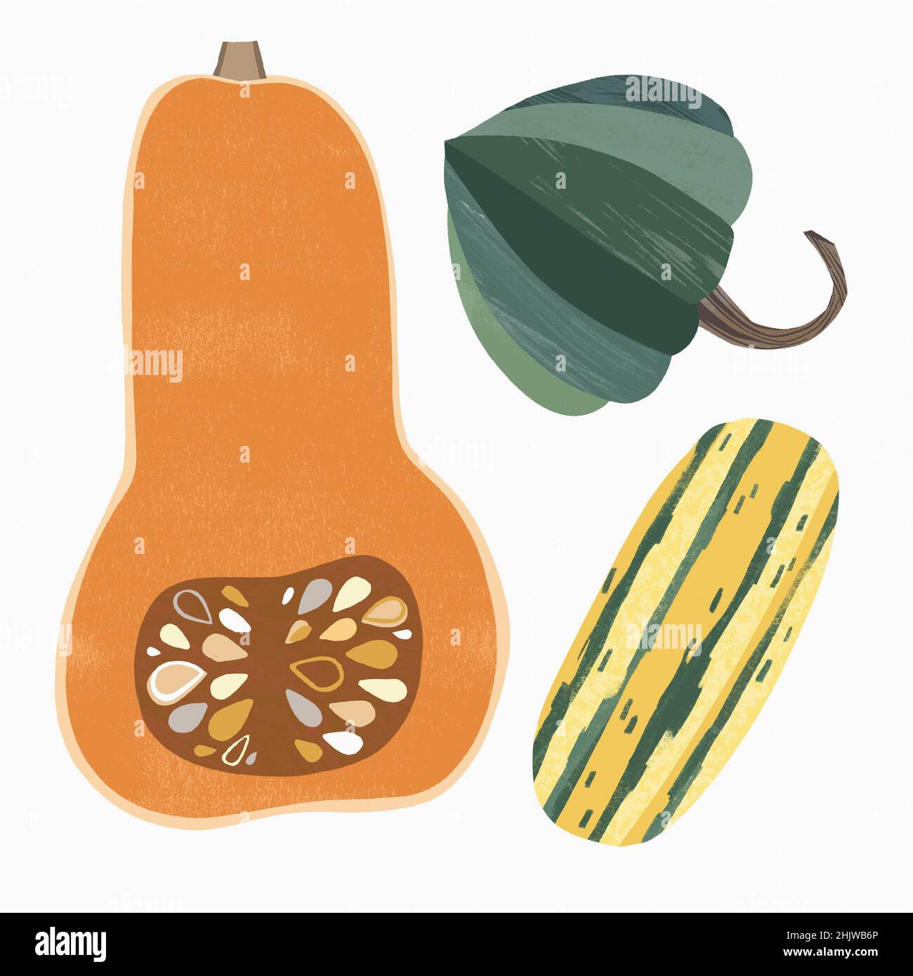 Three types of squash Stock Photo - Alamy