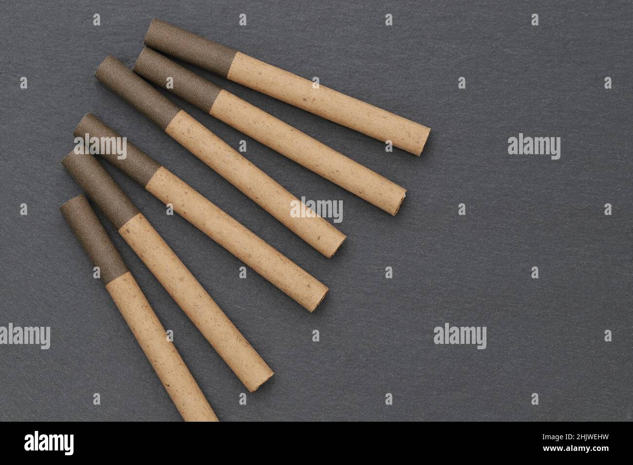 Grey Habit High Resolution Stock Photography and Images - Alamy