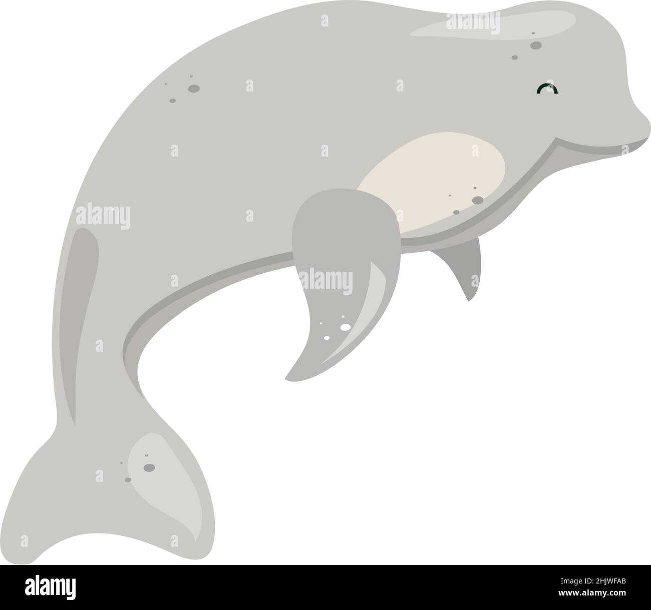 beluga whale isolated Stock Vector Image & Art - Alamy