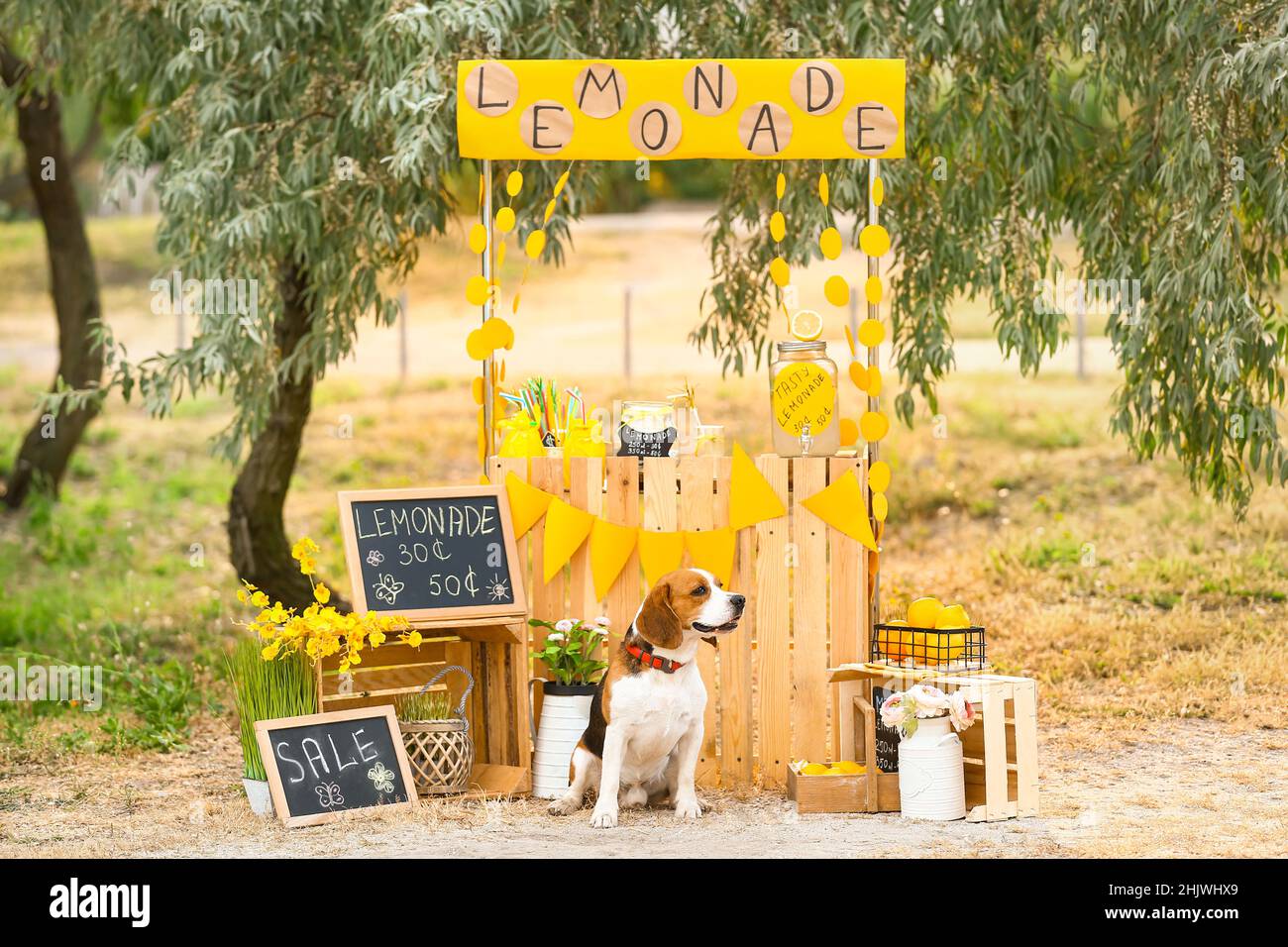 Lemonade stand counter hi-res stock photography and images - Alamy
