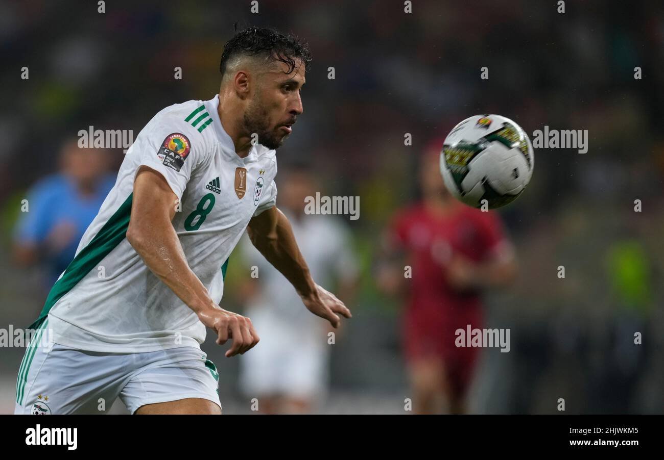 Belali hi-res stock photography and images - Alamy