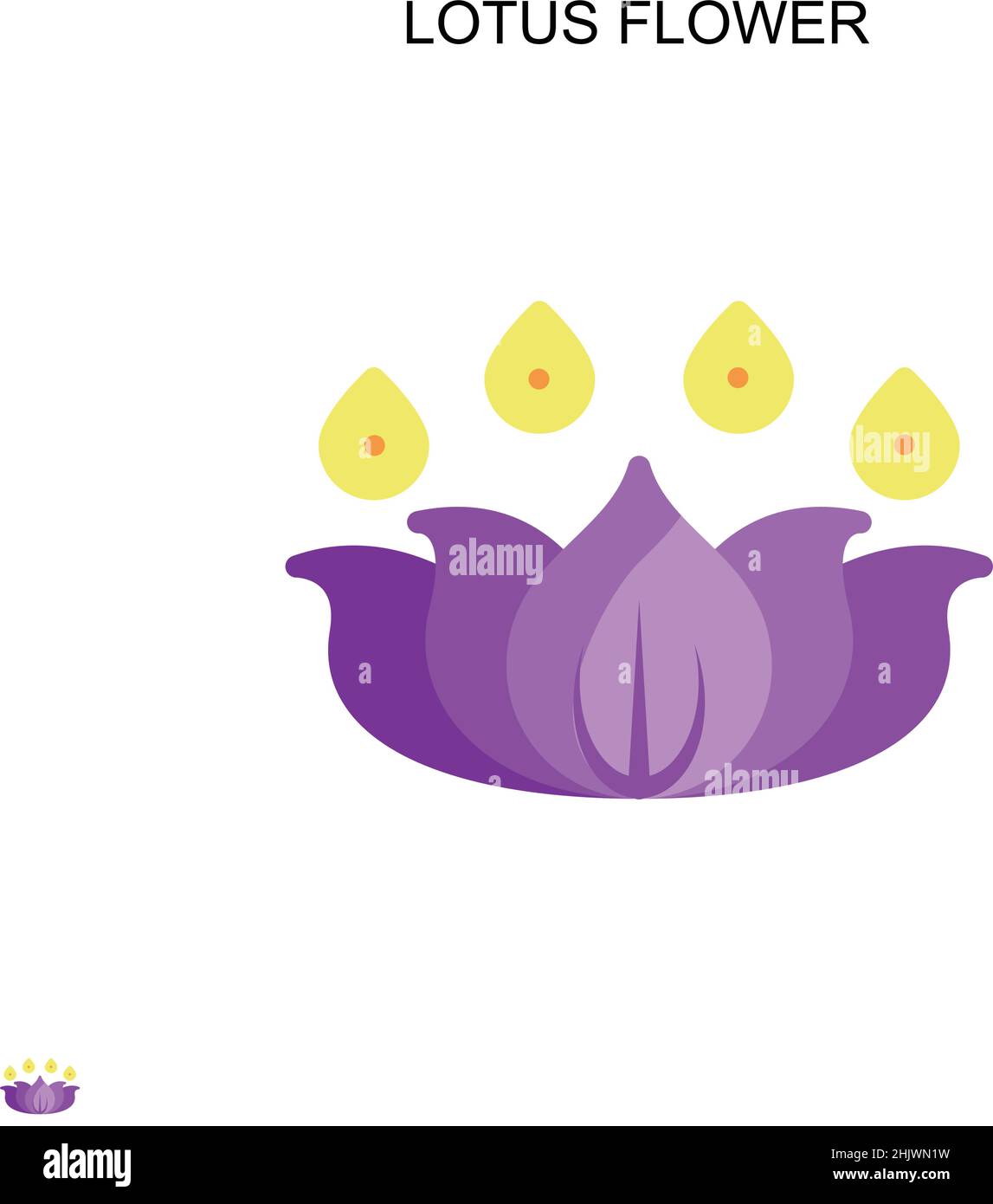 White waterlily illustration Stock Vector Images - Alamy