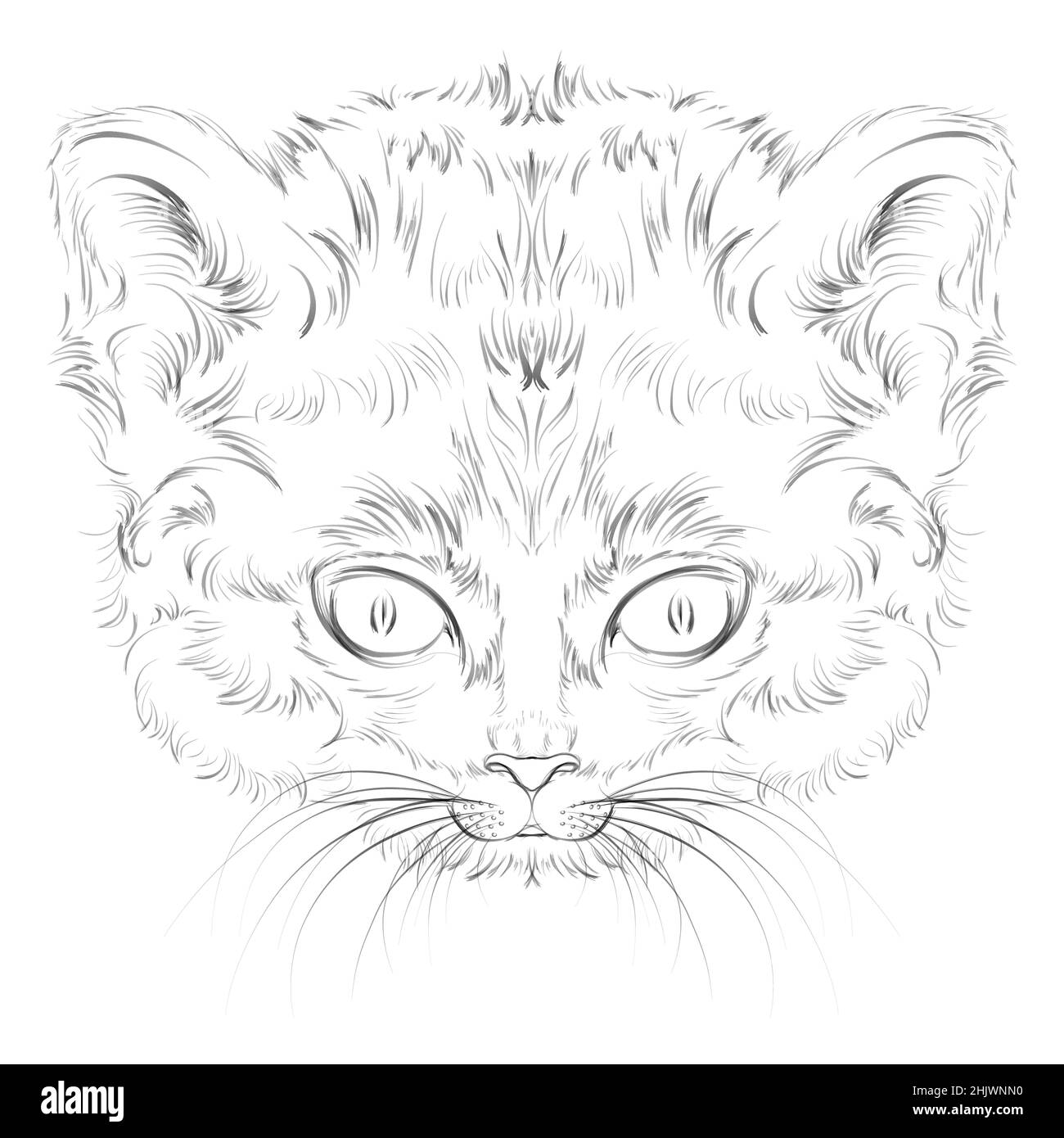 Cute sketch style illustration of a kitten's head Stock Photo - Alamy