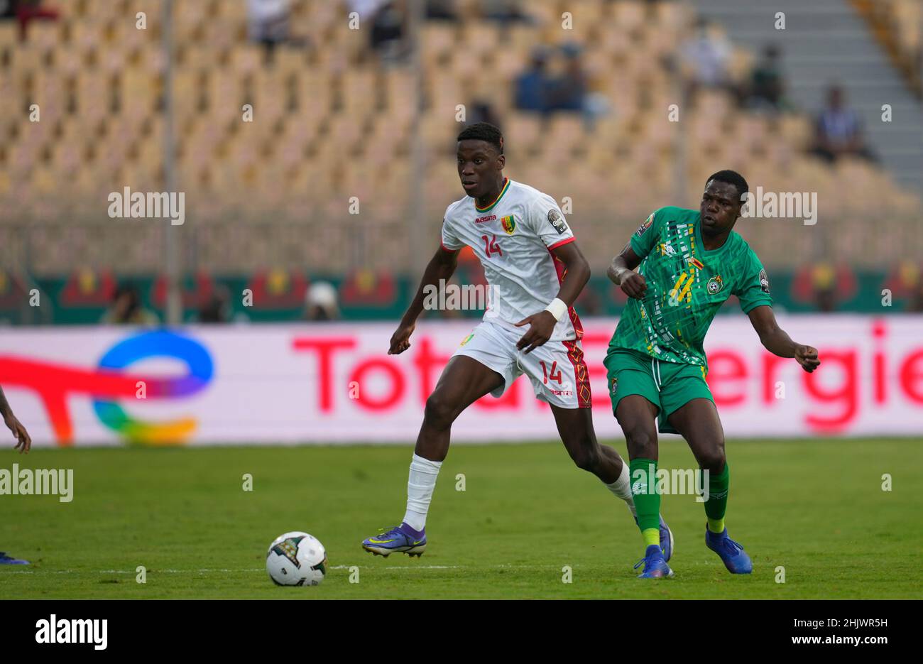 Never tigere of zimbabwe hi-res stock photography and images - Alamy