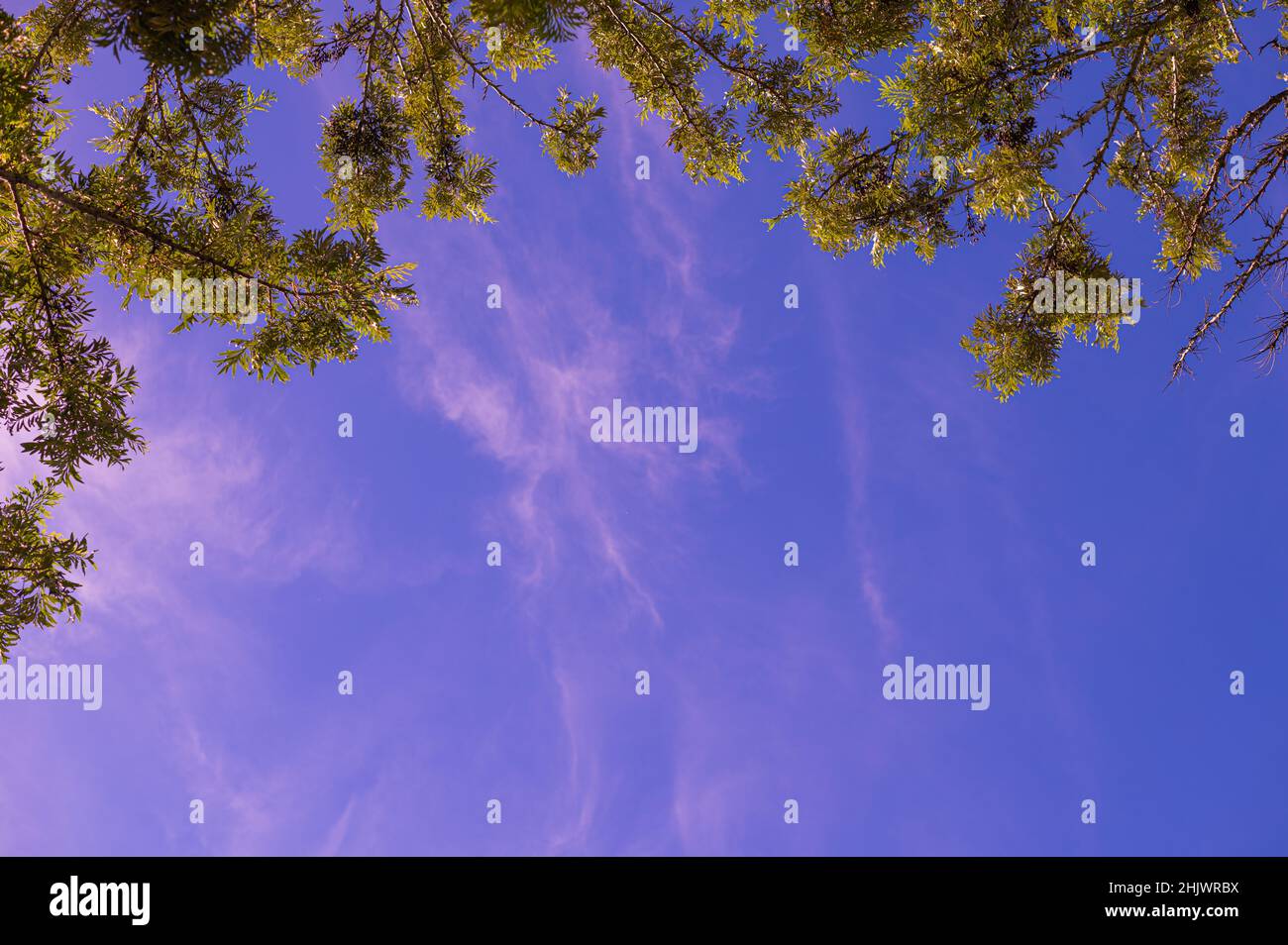 Beautiful low angle view hi-res stock photography and images - Alamy