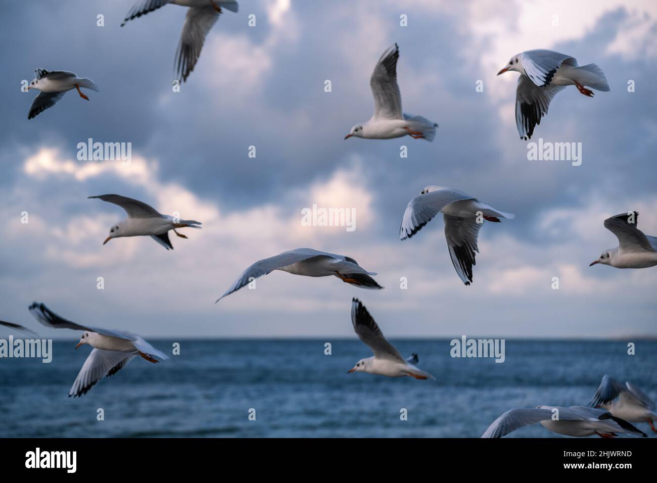 A red game piece in the middle, between two groups of other game pieces ...