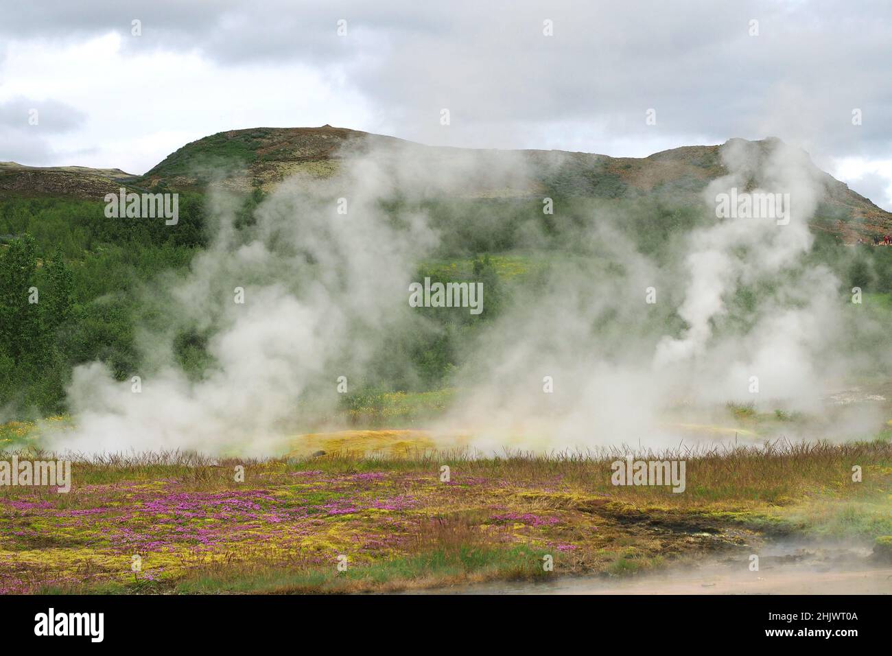 Beautiful shot of hot steam in the green field with a mountain in the ...