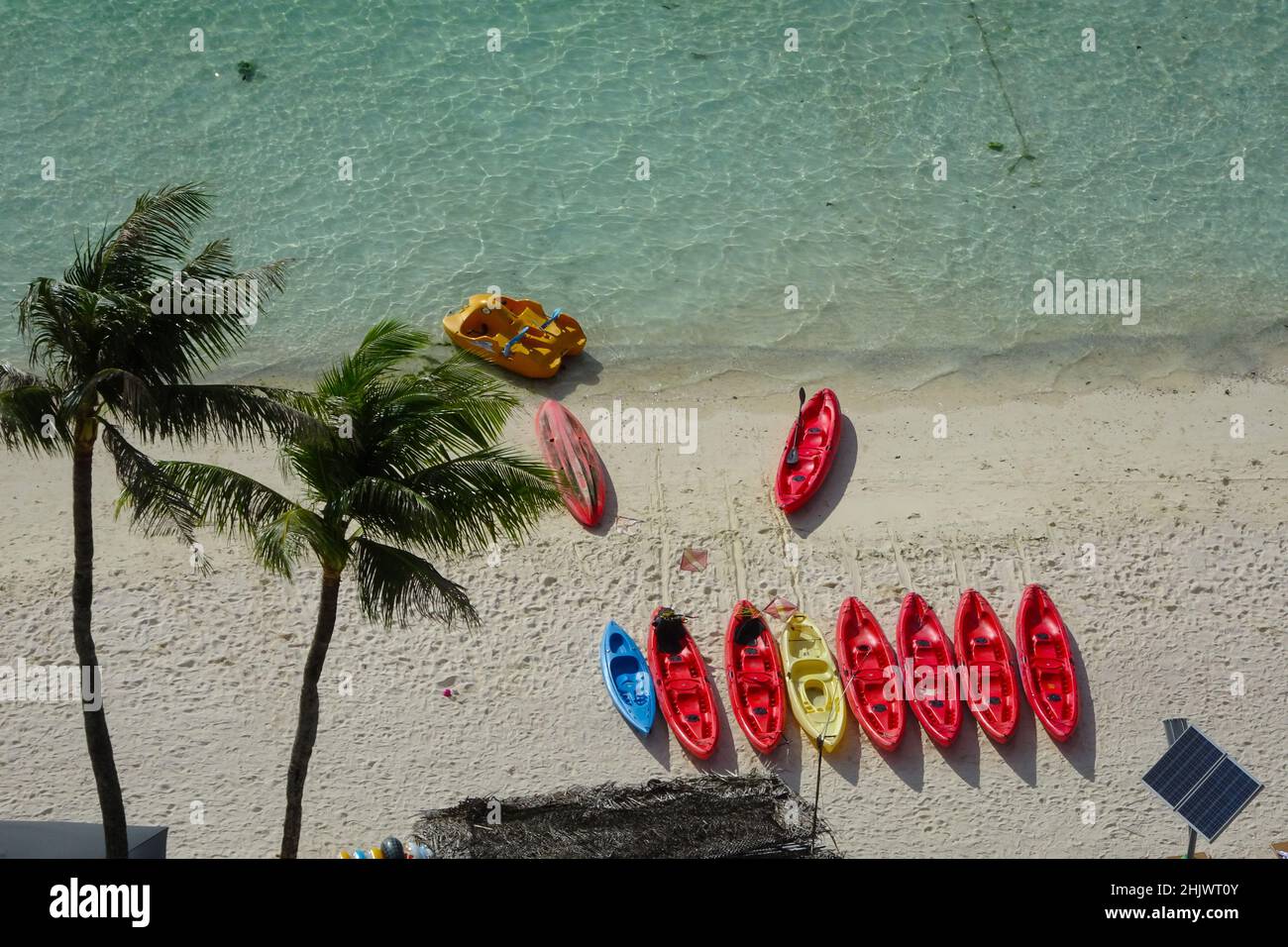 Aerial view of coconut trees and colorful aligned Kayak Sailing boats ...