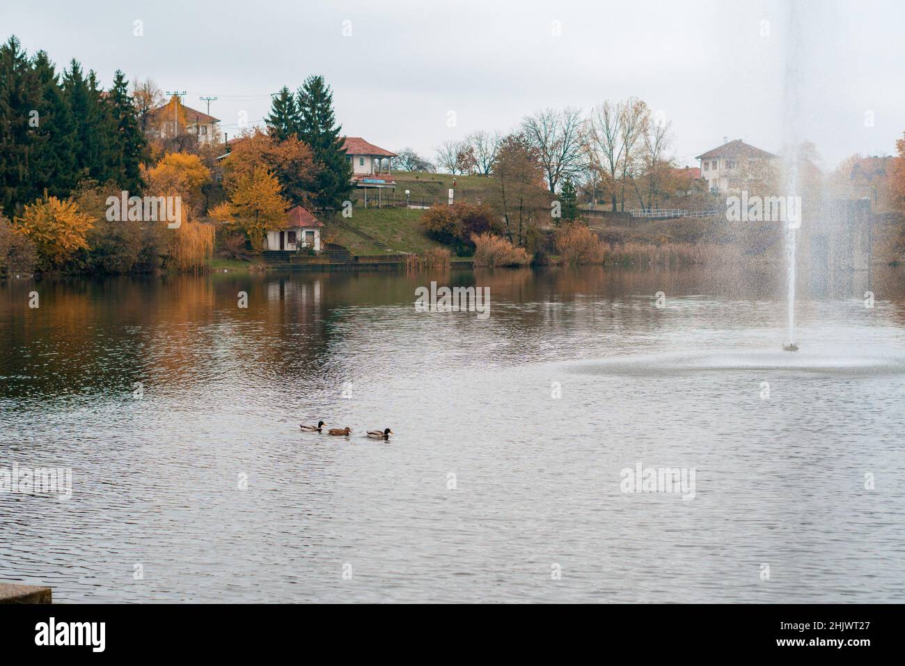 Hazna hi-res stock photography and images - Alamy
