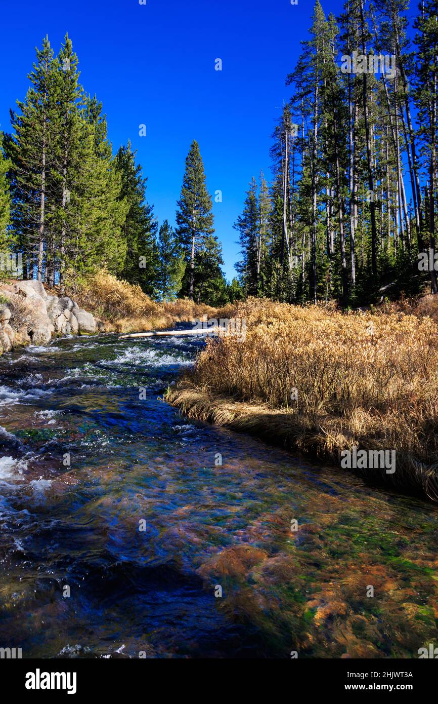 Gibbon river national park hi-res stock photography and images - Alamy