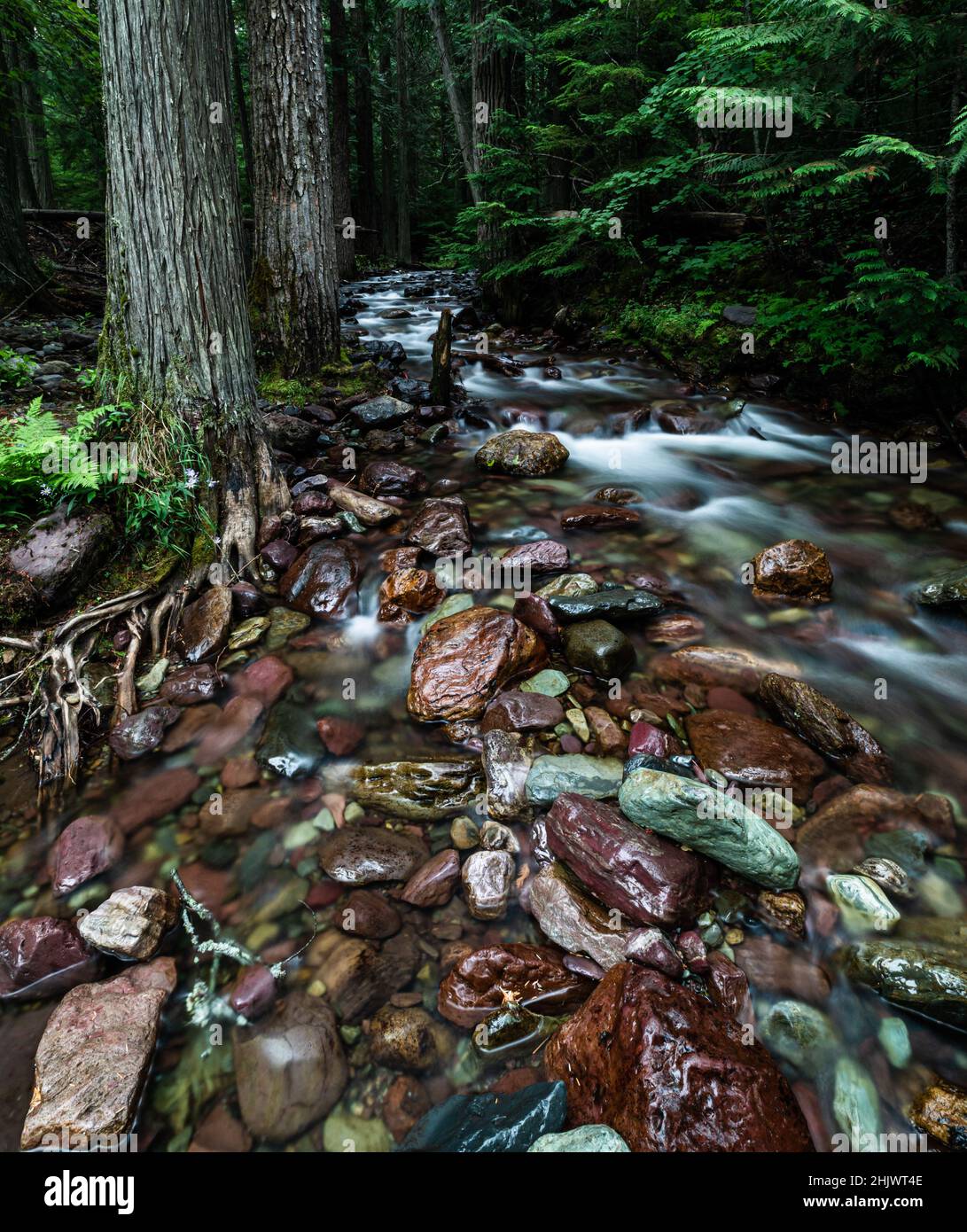 Natural view of the Jackson Creek, Glacier National Park in Montana ...