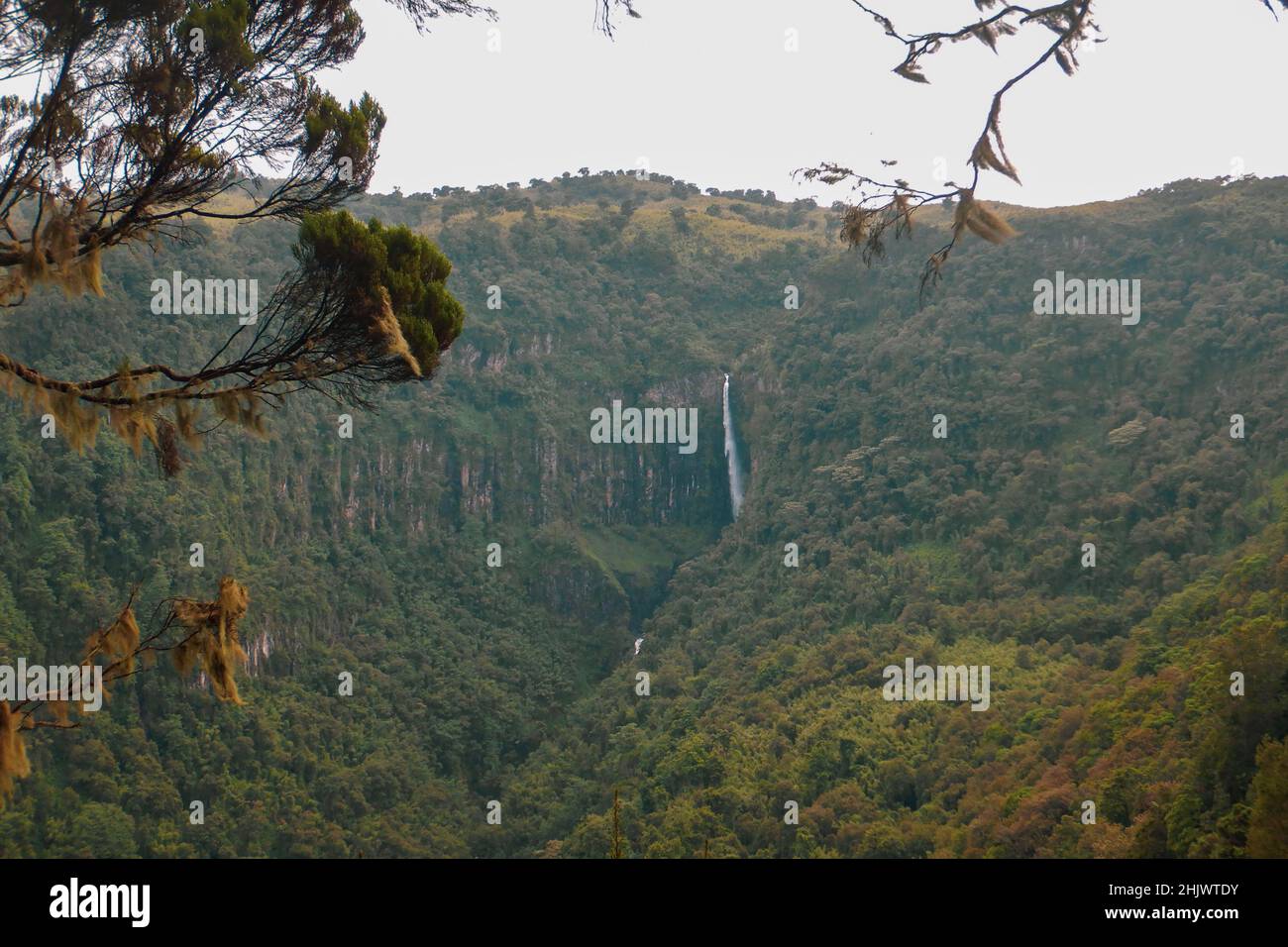 Scenic view of Karuru Waterfall in the Aberdare National Park, Kenya ...