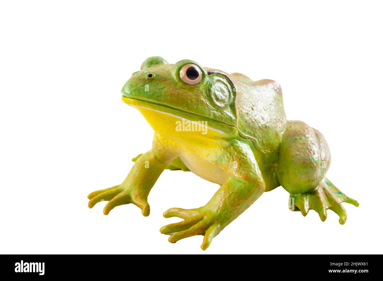 Realistic fake plastic frog sitting isolated on white background with ...