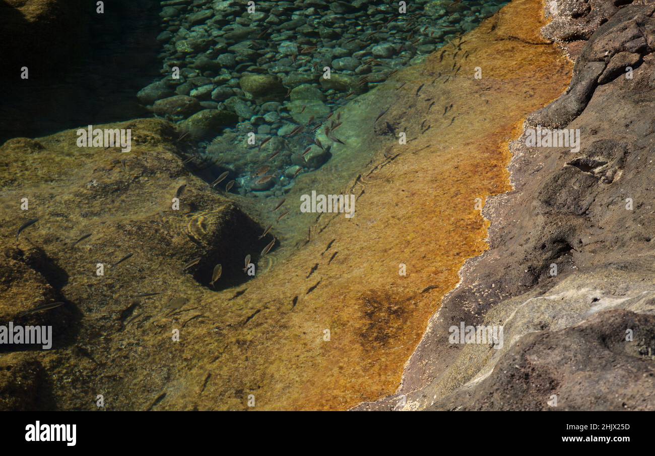 Gran Canaria, calm rock pools under steep cliffs of the north coast are ...