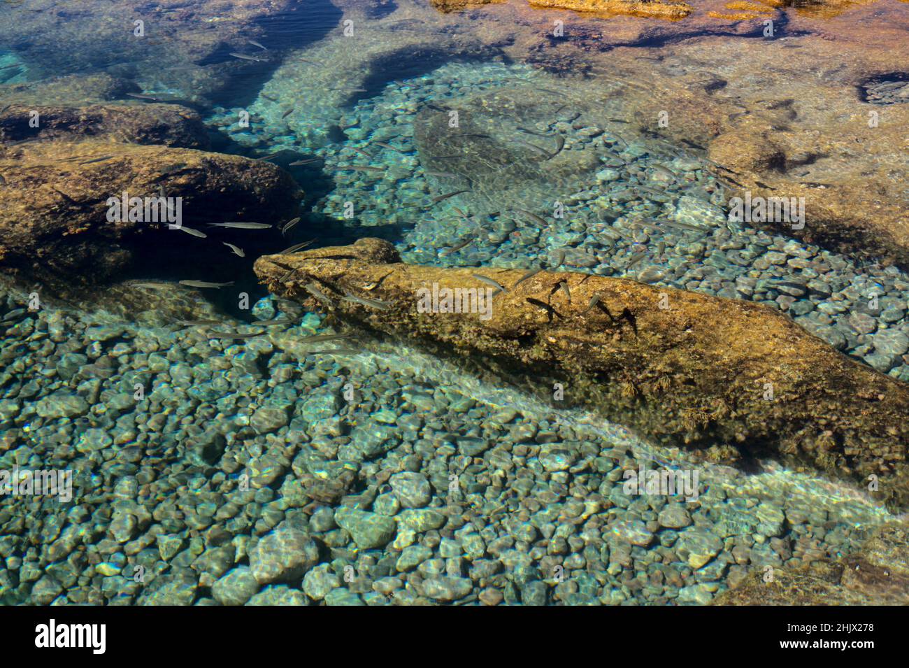 Gran Canaria, calm rock pools under steep cliffs of the north coast are ...