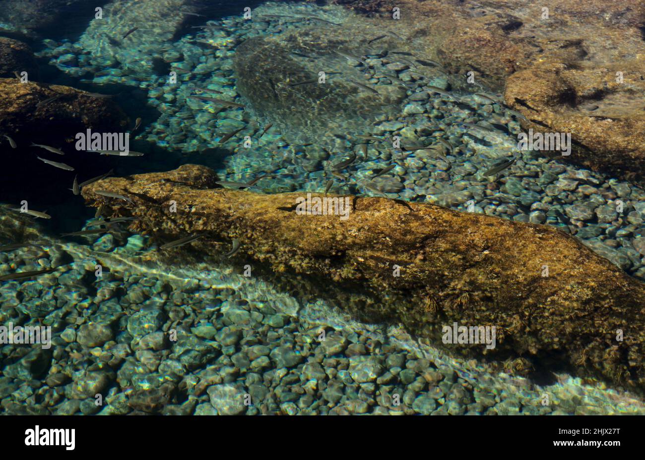 Gran Canaria, calm rock pools under steep cliffs of the north coast are ...