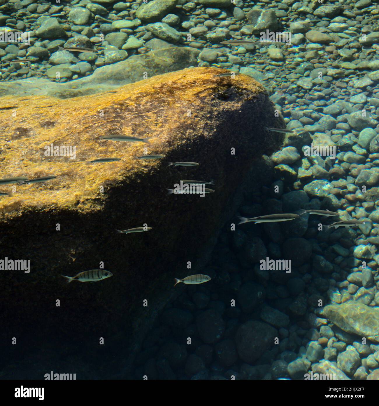 Gran Canaria, calm rock pools under steep cliffs of the north coast are ...