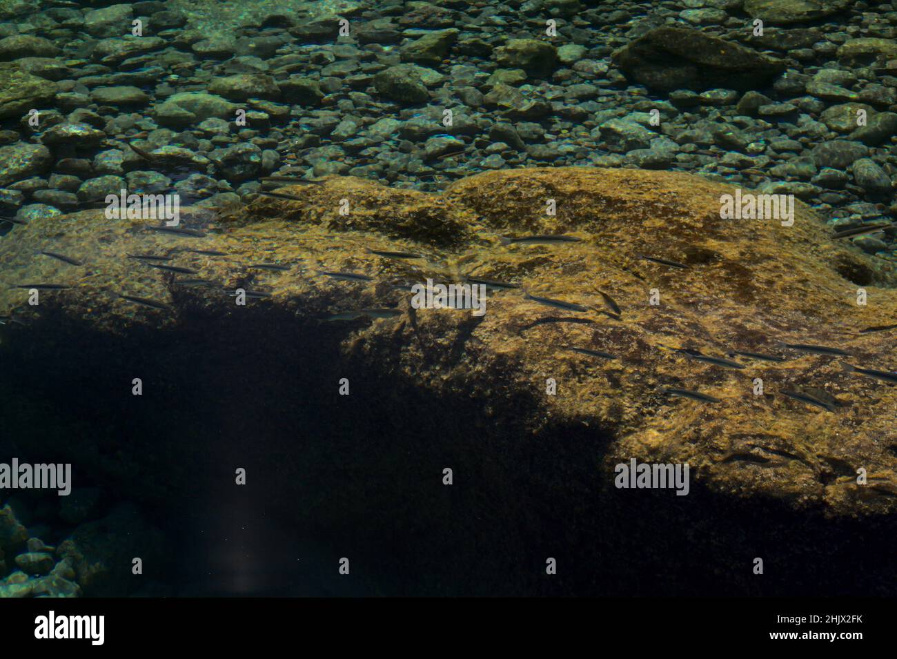 Gran Canaria, calm rock pools under steep cliffs of the north coast are ...