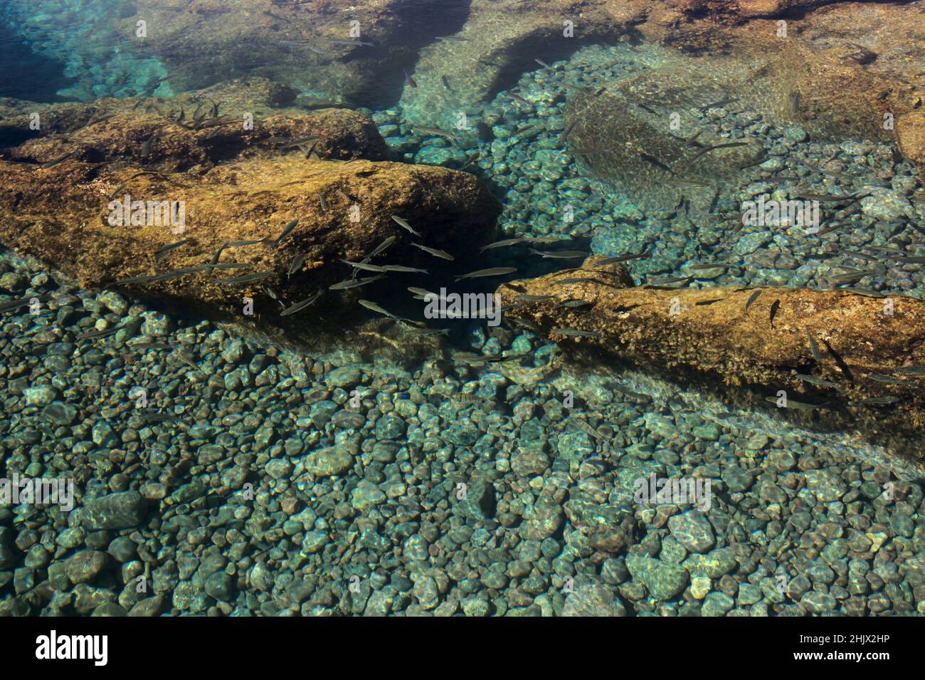 Gran Canaria, calm rock pools under steep cliffs of the north coast are ...