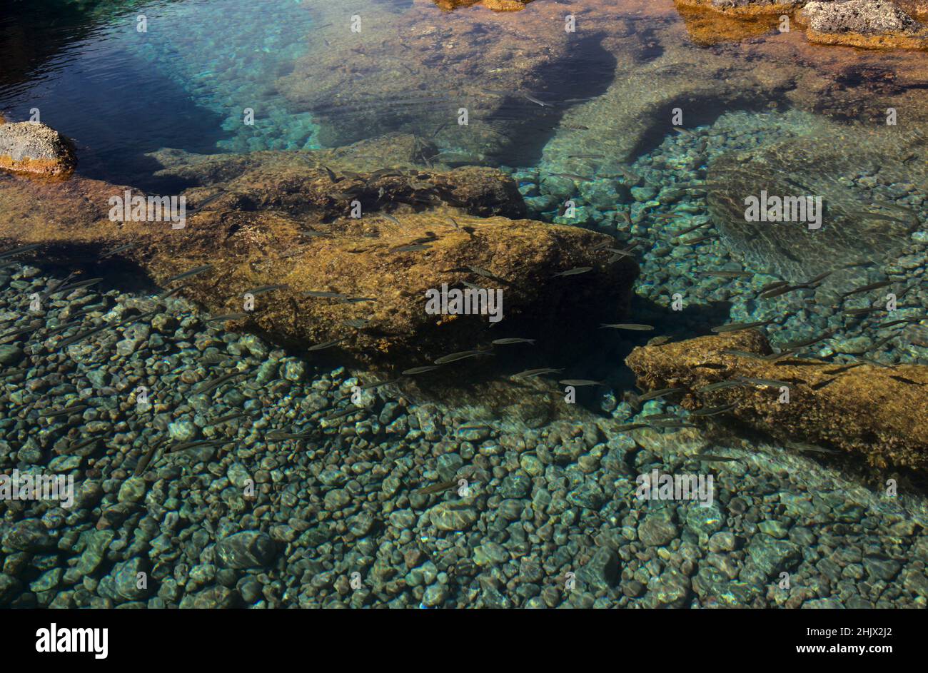 Gran Canaria, calm rock pools under steep cliffs of the north coast are ...