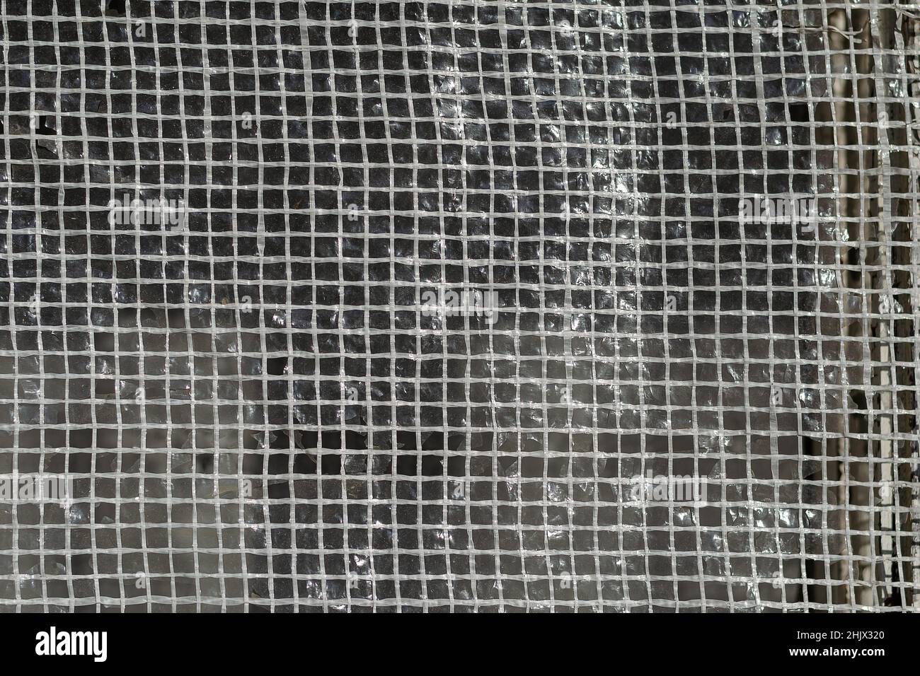 Texture of plastic mesh. Squares of white threads. Selective focus ...